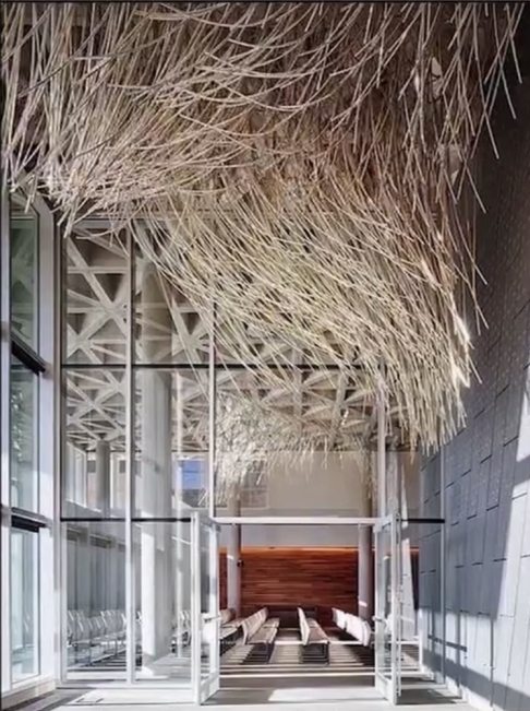 Vray Fur还能这样用，你学会了吗_渲云动态